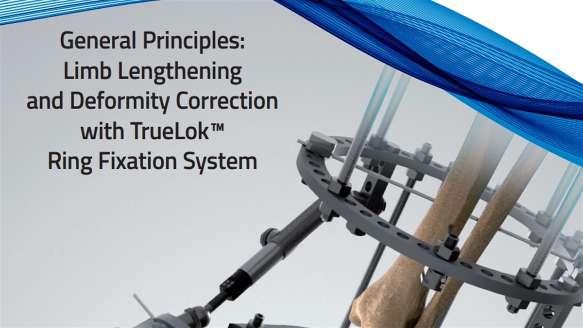 TrueLok General Principles